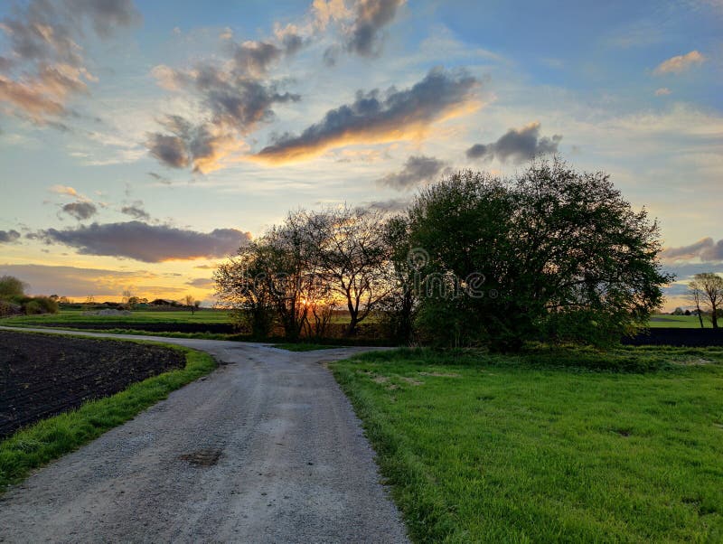Scenic View of Path in a Park at Sunset Stock Photo - Image of natural ...