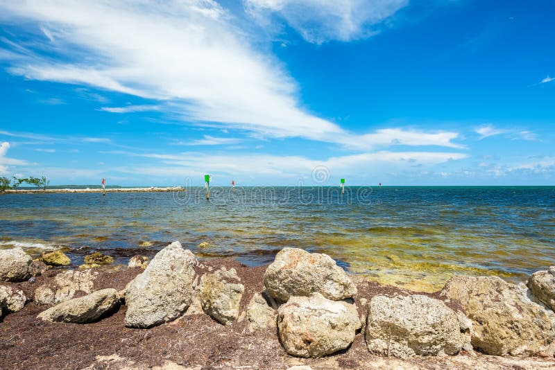 Scenic Florida Keys stock photo. Image of coral, leisure - 124212480