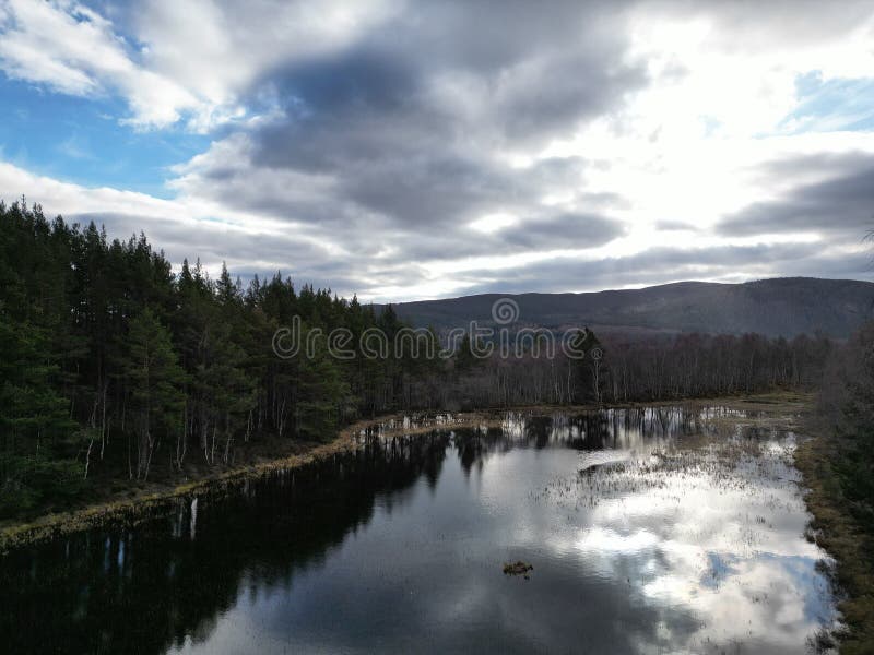 Scenic View of a Pristine Alpine Lake Surrounded by a Lush Evergreen ...