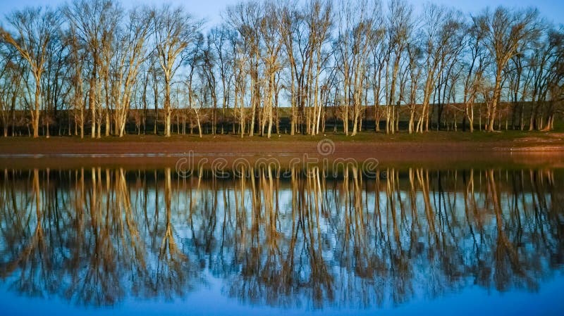 Scenic View, Reflection of Trees in the Calm Water of a Small Lake ...