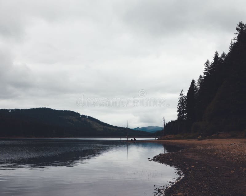 Scenic View of a Reflective Lake with Shoreline Spruce Forests Under ...