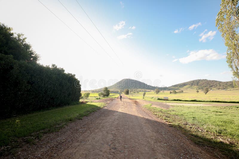 Remote country road stock image. Image of forest, remote - 127105763