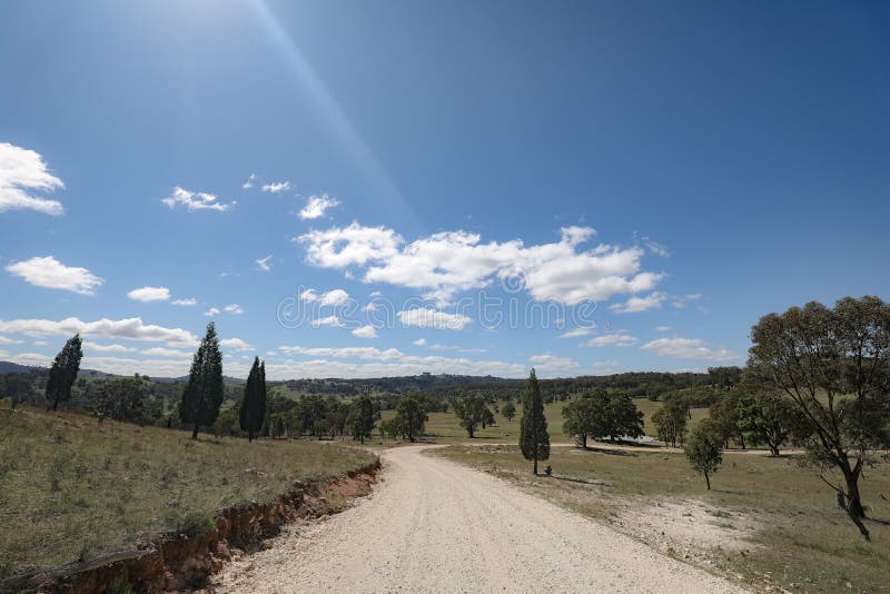 Remote country road stock image. Image of forest, remote - 127105763