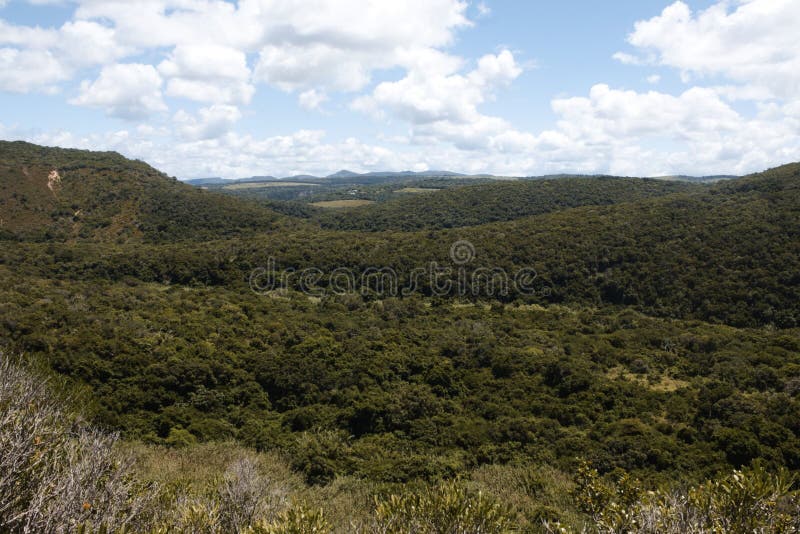View Viewpoint Overlooking Trees Mountains Near River Stock Photos ...