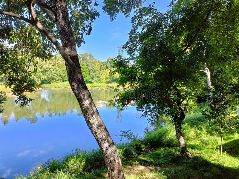 A Scenic View of a River Flowing by and Greenery Along Her Shores Stock ...