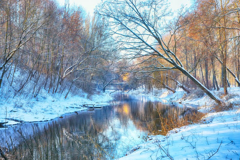 Scenic View of the River and Trees in Winter Stock Photo - Image of ...