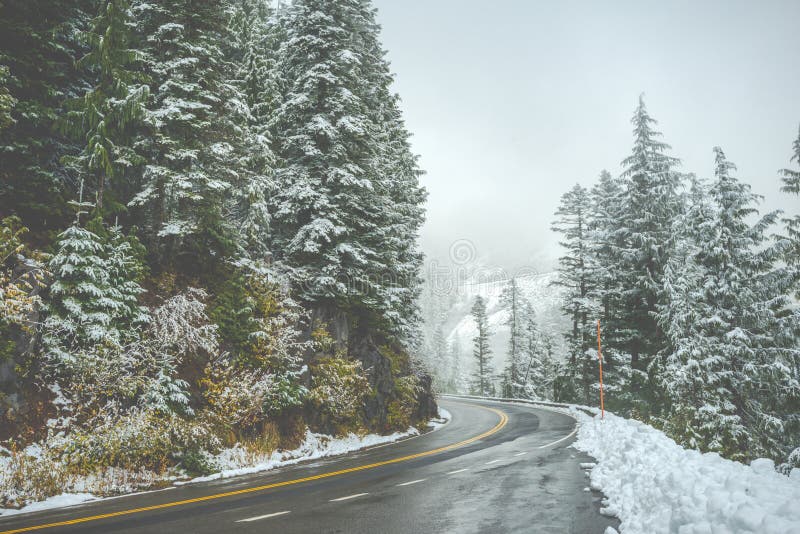 Scenic View of the Road in the Forest with Snow Covered Stock Image ...