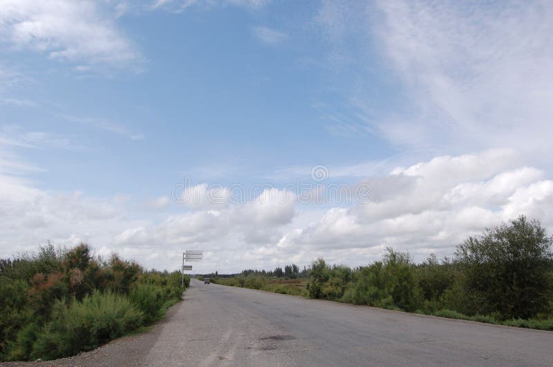 Scenic View of a Rural Road Lined with Trees, with an Open Grassy Field ...