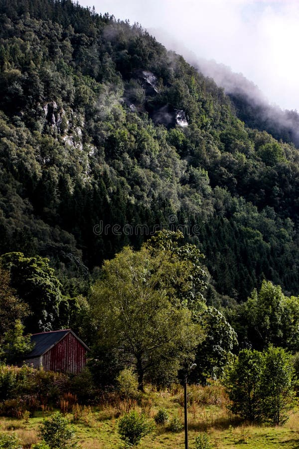 Scenic View of Sauda Norway Stock Image - Image of tree, leaf: 188306293