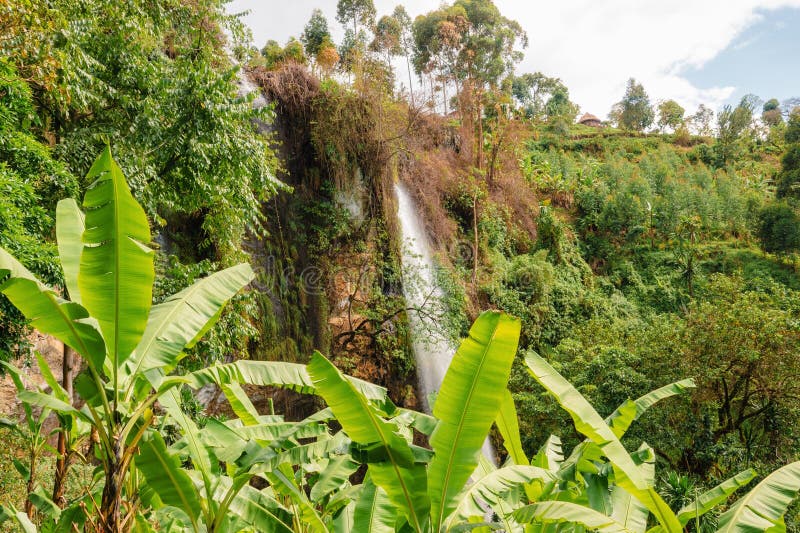 Scenic View of Sipi Waterfall in Mount Elgon, Mbale, Uganda Stock Photo ...