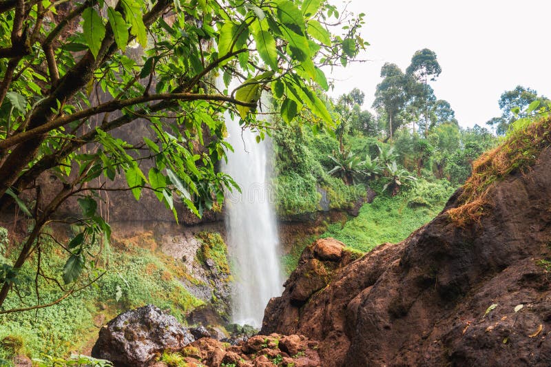 Scenic View of Sipi Waterfall in Mount Elgon, Mbale, Uganda Stock Image ...