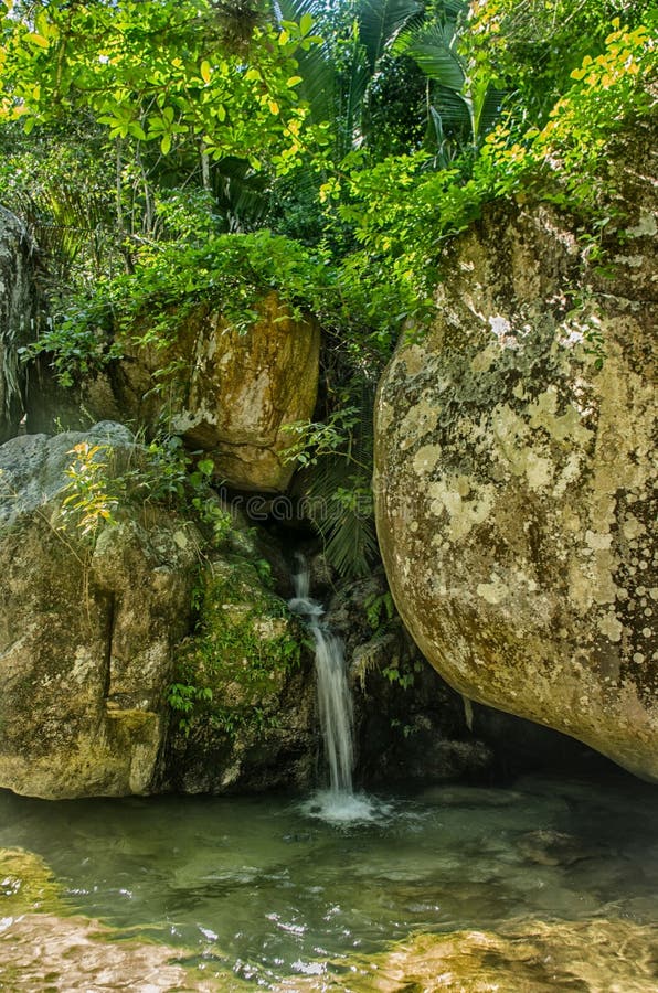 Scenic View of a Small Waterfall Cascading Down a Hill Surrounded by ...