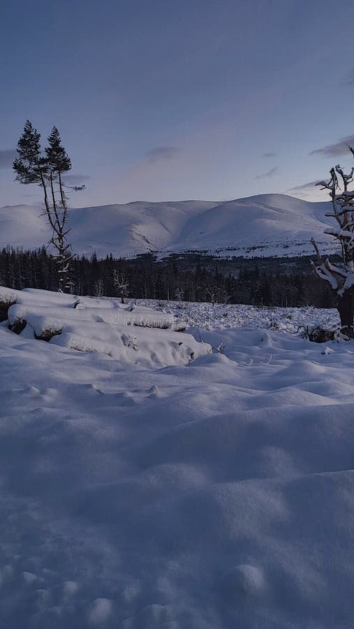 Scenic View of Snow Covered Field Stock Image - Image of snow, covered ...