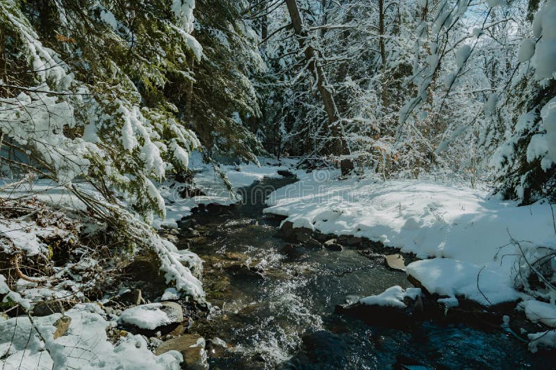 Scenic View of a Snowy Stream in a Forest Stock Image - Image of cold ...