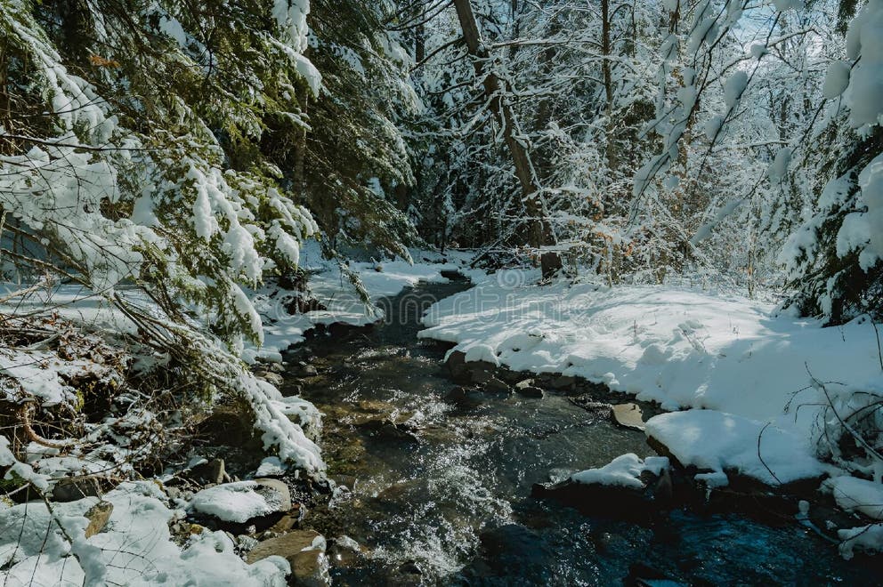 Scenic View of a Snowy Stream in a Forest Stock Image - Image of cold ...