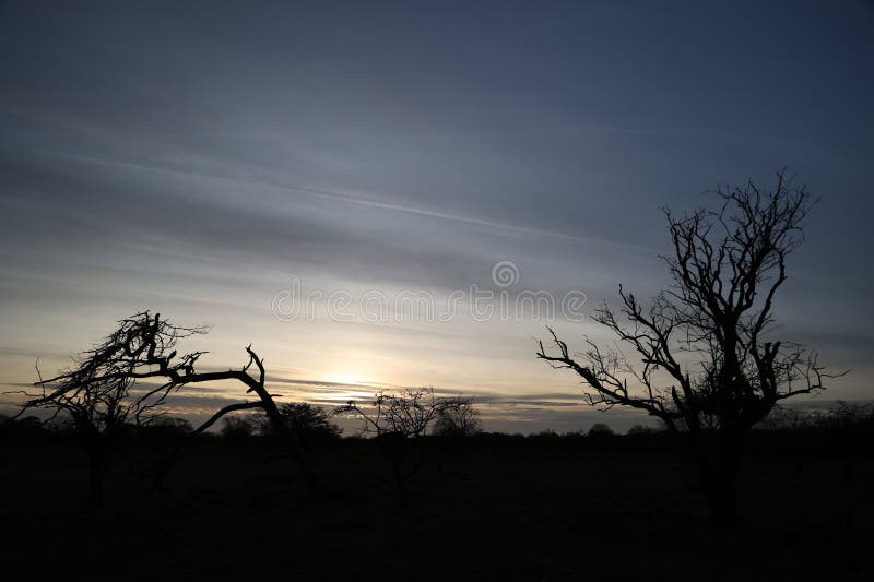 Scenic View of Sunset Over Barren Land with Bare Trees Stock Photo ...