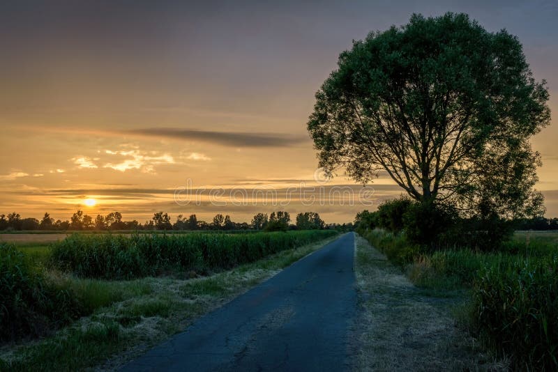 Scenic View of the Sunset Over the Fields Next To the Road in Dromling ...