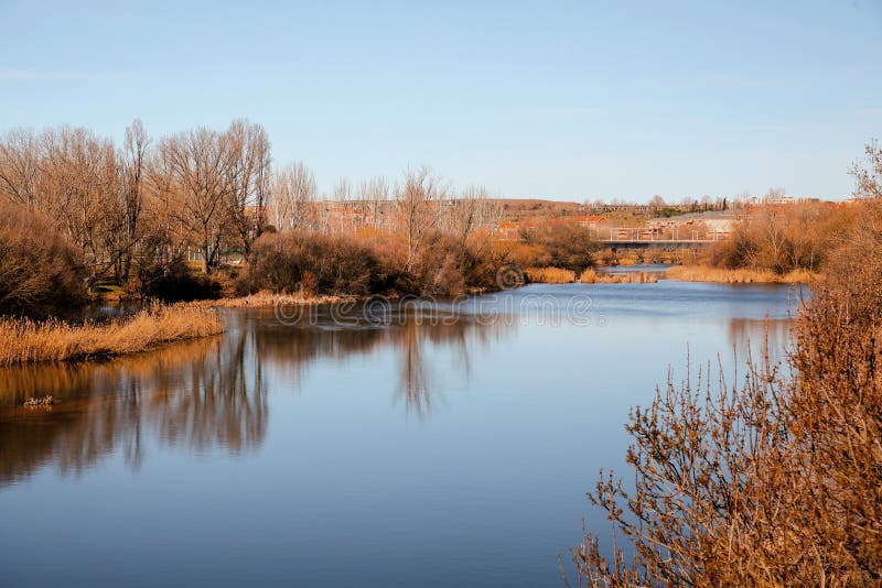 Scenic View of the Tormes River with Reflection of Plants and Trees ...