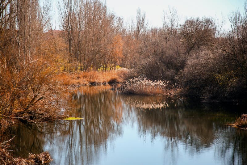 Scenic View of the Tormes River with Reflection of Plants and Trees ...