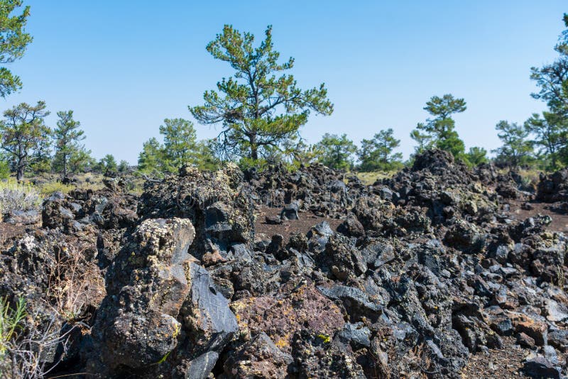 Scenic View of Volcanic Lava Rocks with Green Conifer Trees in ...