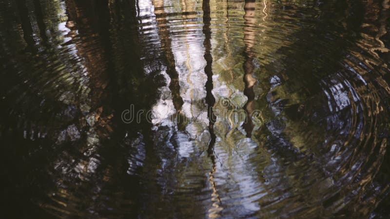 Scenic View of Water Drops Forming Ripples on a River Surface with ...