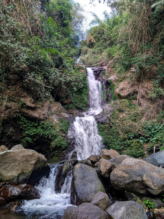 Remote Waterfall in the Middle of the Jungle Stock Image - Image of ...