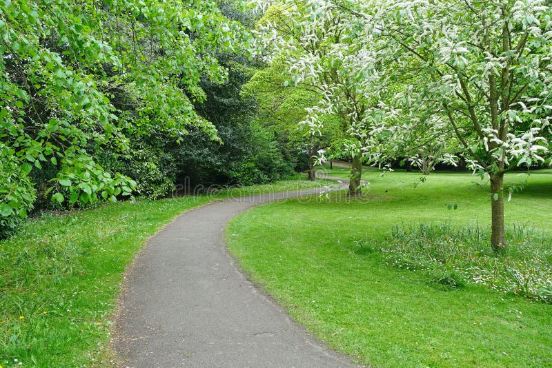 Winding Garden Path stock image. Image of background - 238127633