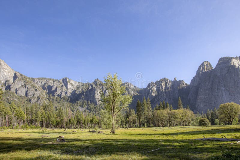 Scenic View in Yosemite Valley with Lake Stock Photo - Image of forest ...