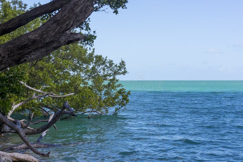 Scenic Views of the Florida Keys Stock Photo - Image of bahia ...