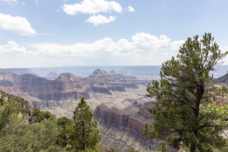 Scenic Views of the Grand Canyon North Rim Stock Image - Image of cloud ...