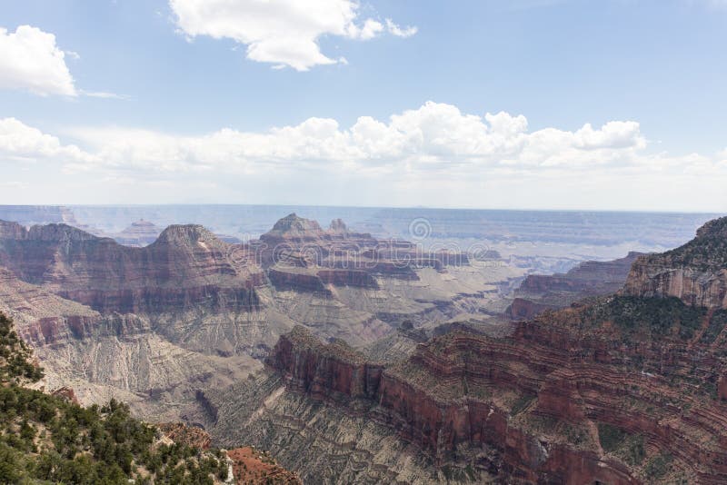 Scenic Views of the Grand Canyon North Rim Stock Photo - Image of grand ...