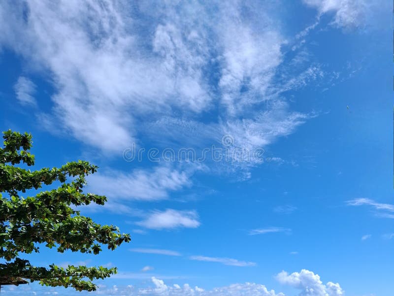 Scenic Views of White Cloud and Blue Sky Stock Image - Image of panorama, glorious: 375632459
