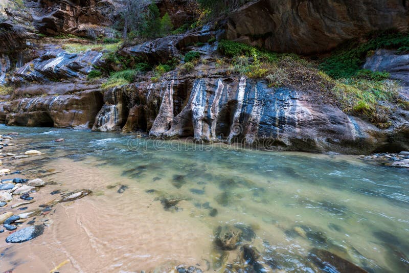 Scenic Virgin River Narrows in Utah, USA Stock Photo - Image of travel ...