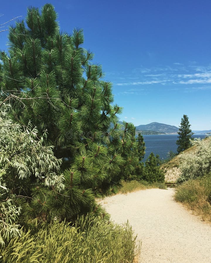 Scenic walking trail stock image. Image of lake, scenery - 96420797