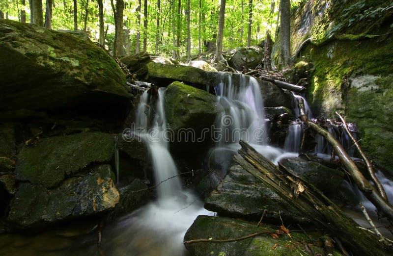 Scenic Water Falls stock photo. Image of forest, river - 5364954