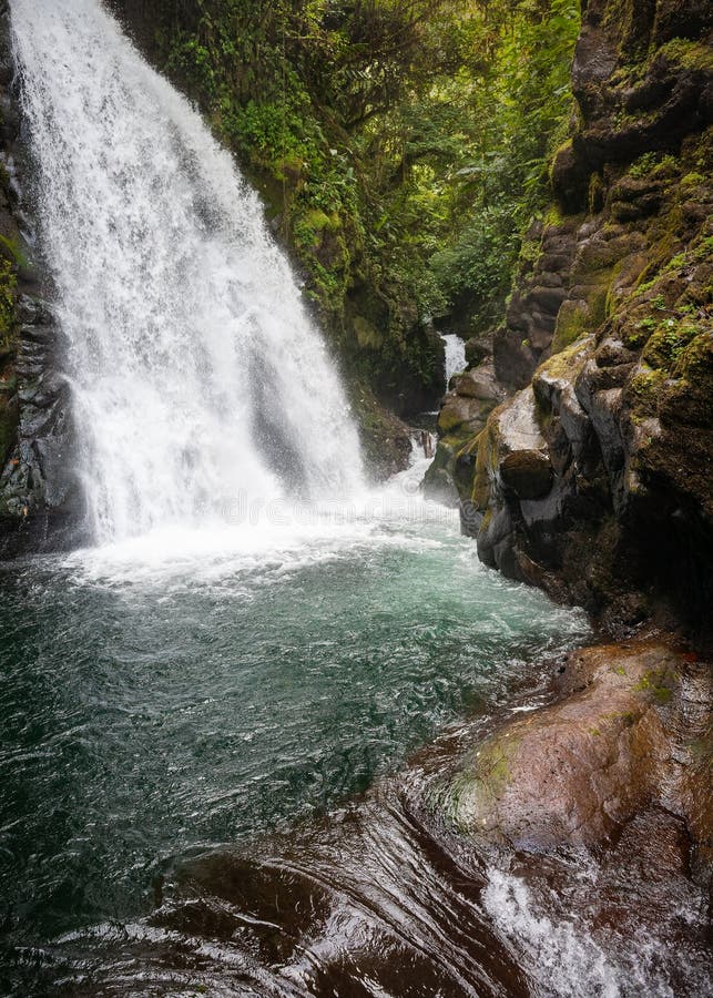 Scenic Waterfall in a Costa Rica Jungle Stock Image - Image of exotic ...