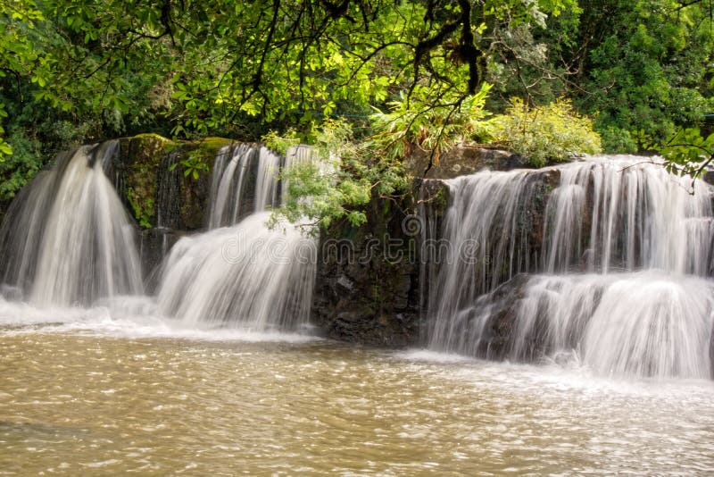 Scenic Waterfall in the Forest Stock Image - Image of flowing, wild ...