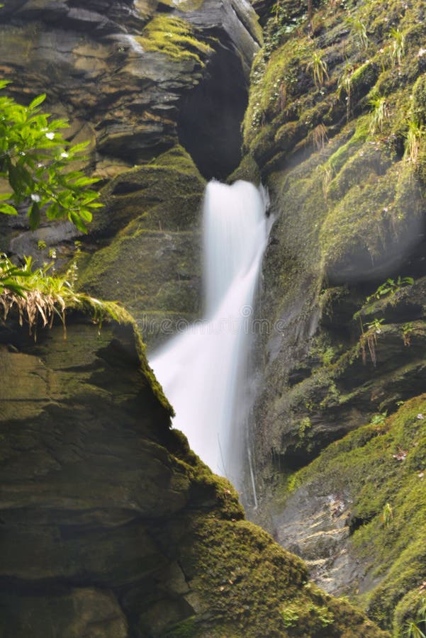 Scenic Waterfall in a Forest Stock Photo - Image of stream, splashing ...