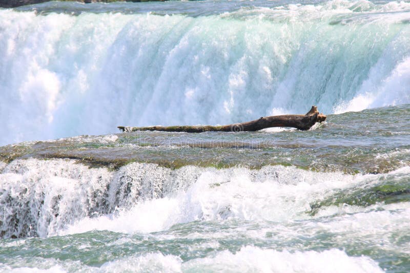 Scenic Waterfall with Log in the Foreground Stock Image - Image of ...