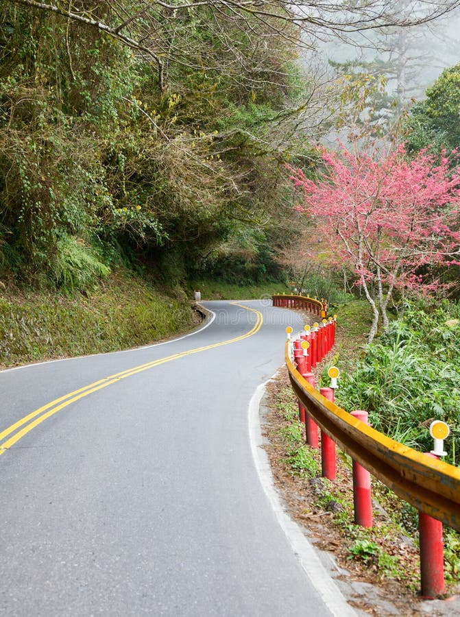 Winding road stock photo. Image of curving, thicket, winding - 29930562