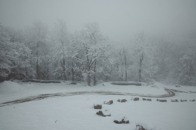 Scenic Winter Landscape Featuring a Snow-covered Ground Amidst a ...
