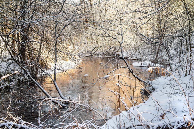 Scenic Winter Scenery with Water Stream among Trees Stock Photo - Image ...