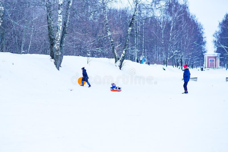 Scenic Winter View of Snow in the Forest Stock Image - Image of ...