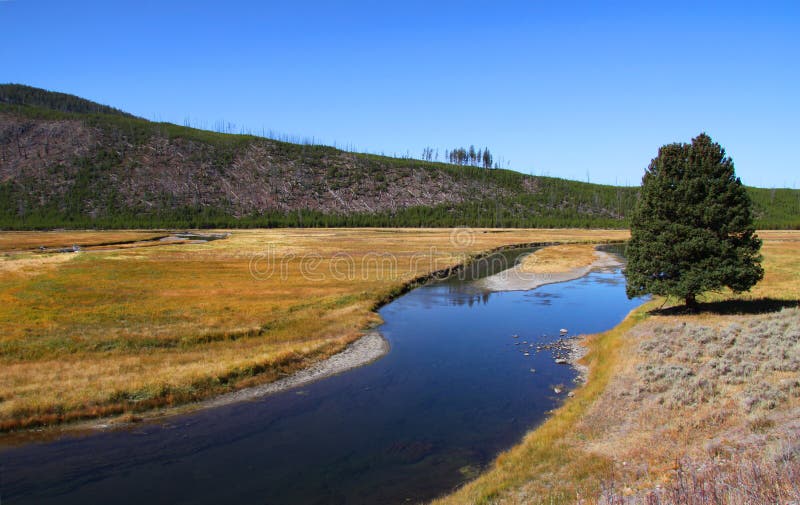 Scenic Yellowstone river stock image. Image of fall, river - 38412677