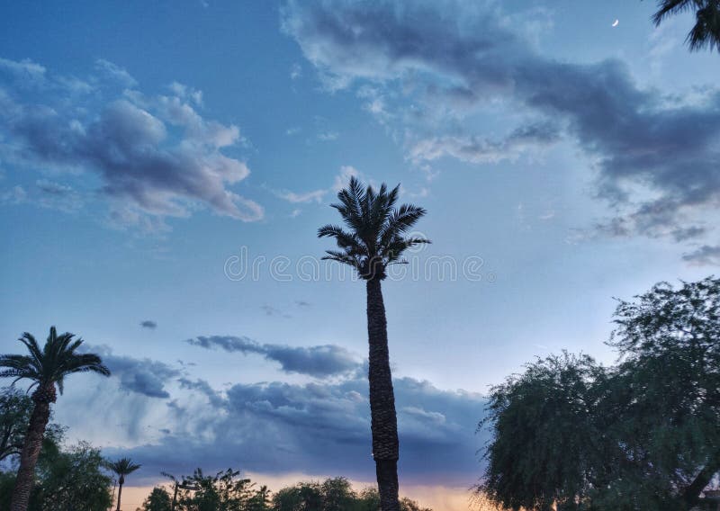 Scenics in Phoenix 1 stock photo. Image of spring, early - 165138536