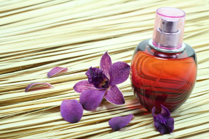 Scent orchid. stock photo. Image of black, herbal, care - 28294140