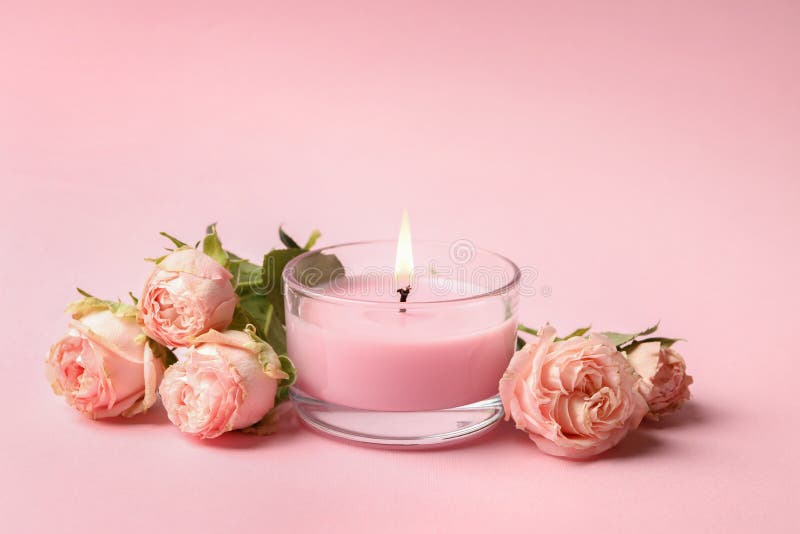 Scented Candle and Roses on Pink Background Stock Photo - Image of fire ...
