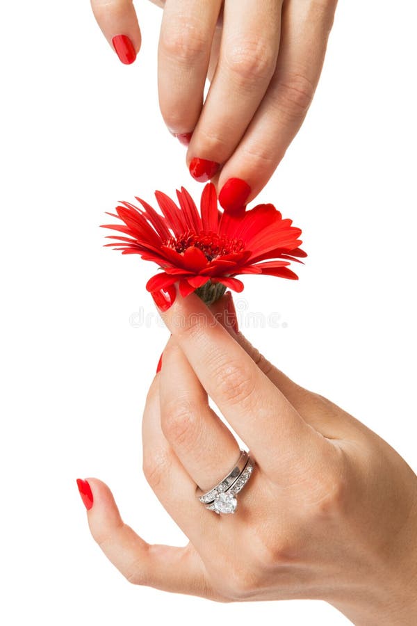 Schöne Hände Einer Eleganten Frau Stockfoto - Bild von kosmetik ...