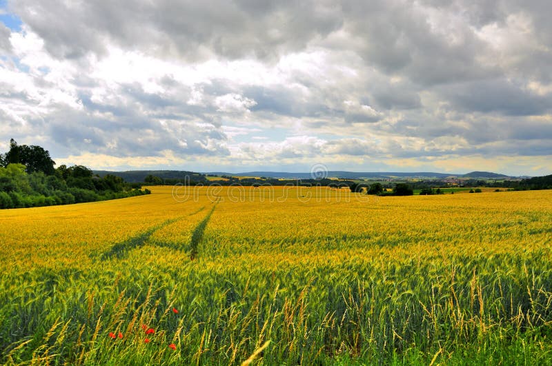Schöne Landschaft (Felder) in Fulda, Hessen Stockbild - Bild von land ...