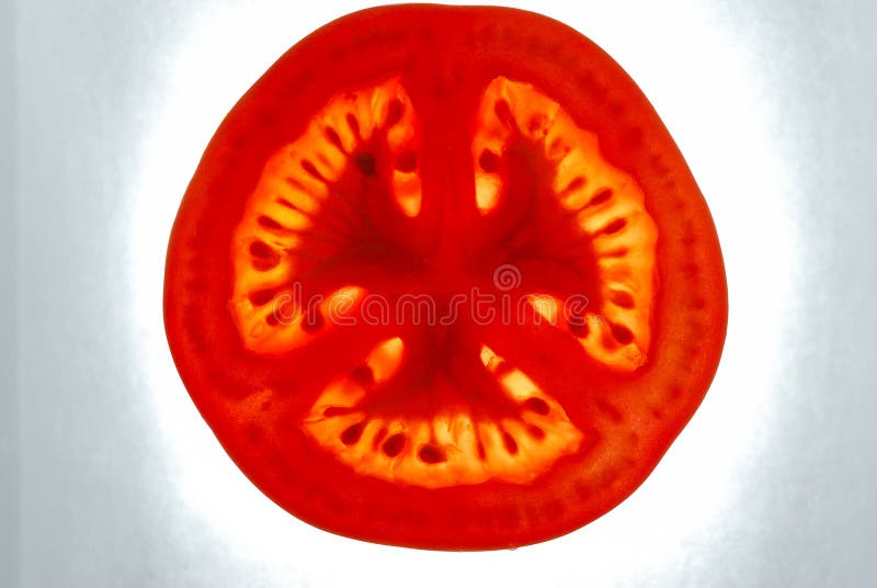 Tomatenscheibe stockfoto. Bild von tomate, material, bestimmungen ...